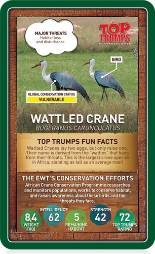 Top Trumps Endangered WIldlife Trust | Toys | Buy online in South ...